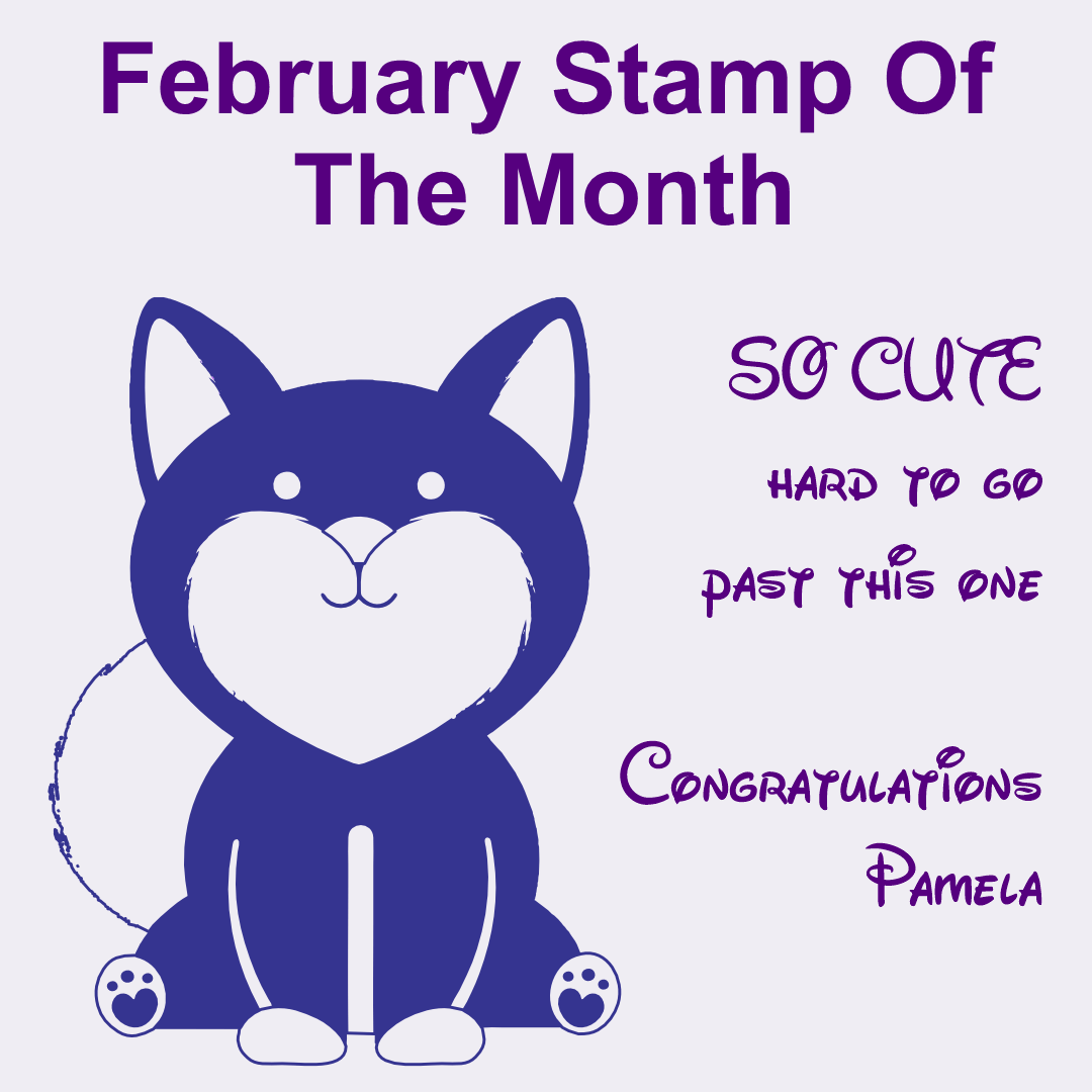 15% OFF Colop Stamps and We celebrate 10 years in Business!